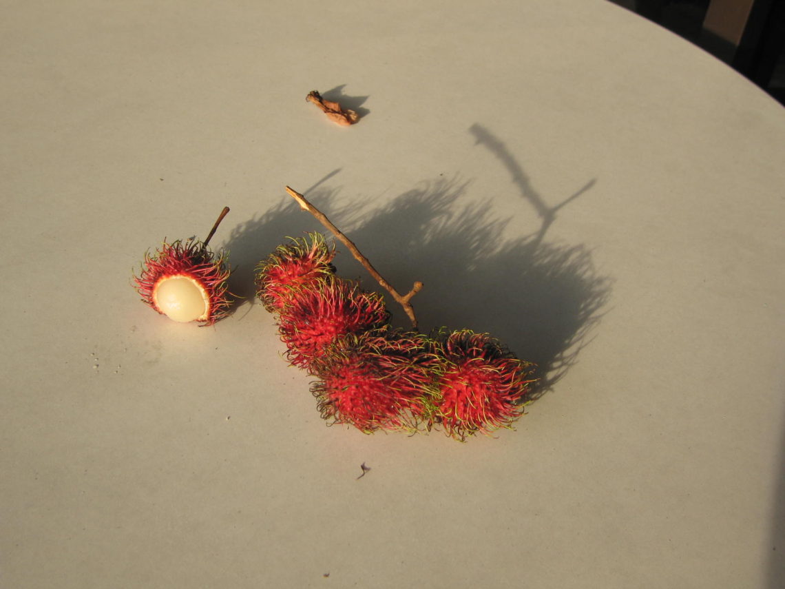 An American in Singapore | forever delaney